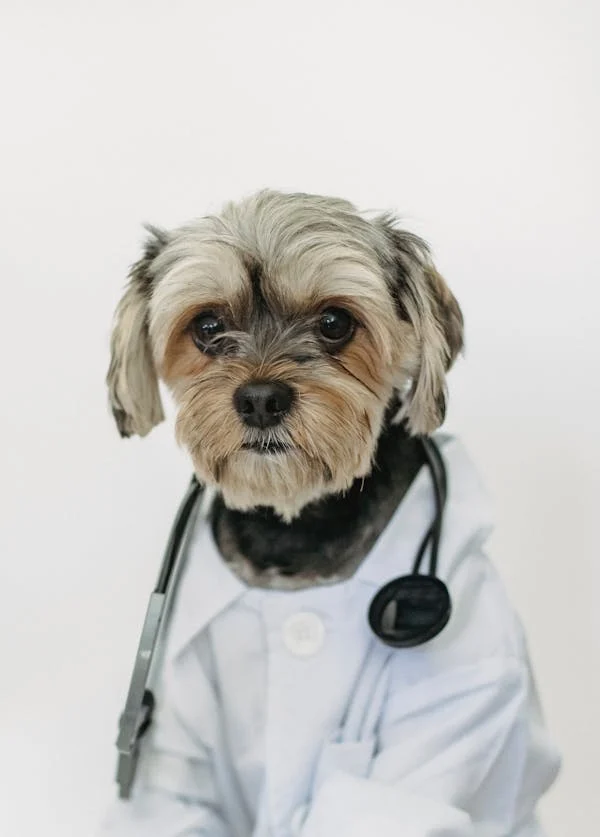 VetProcure - Smart Veterinary Purchasing Platform